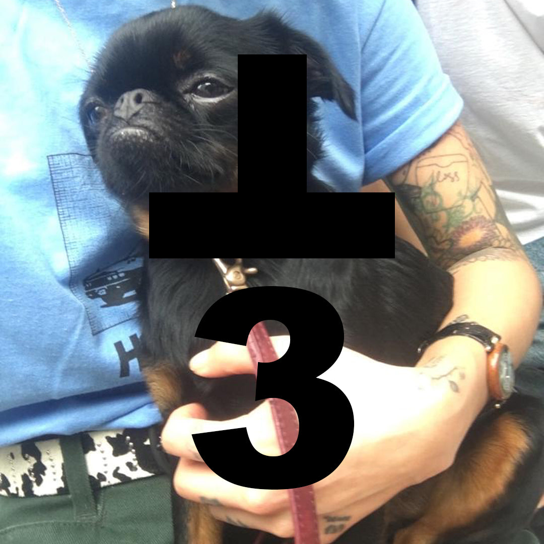 T3 Radio #4 - Kyuhee Baik (BULLY) – VICTORIA HK